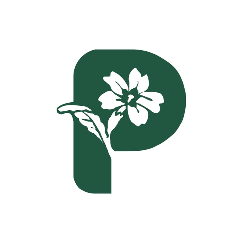 Transform your idea into a successful book - Whitefox